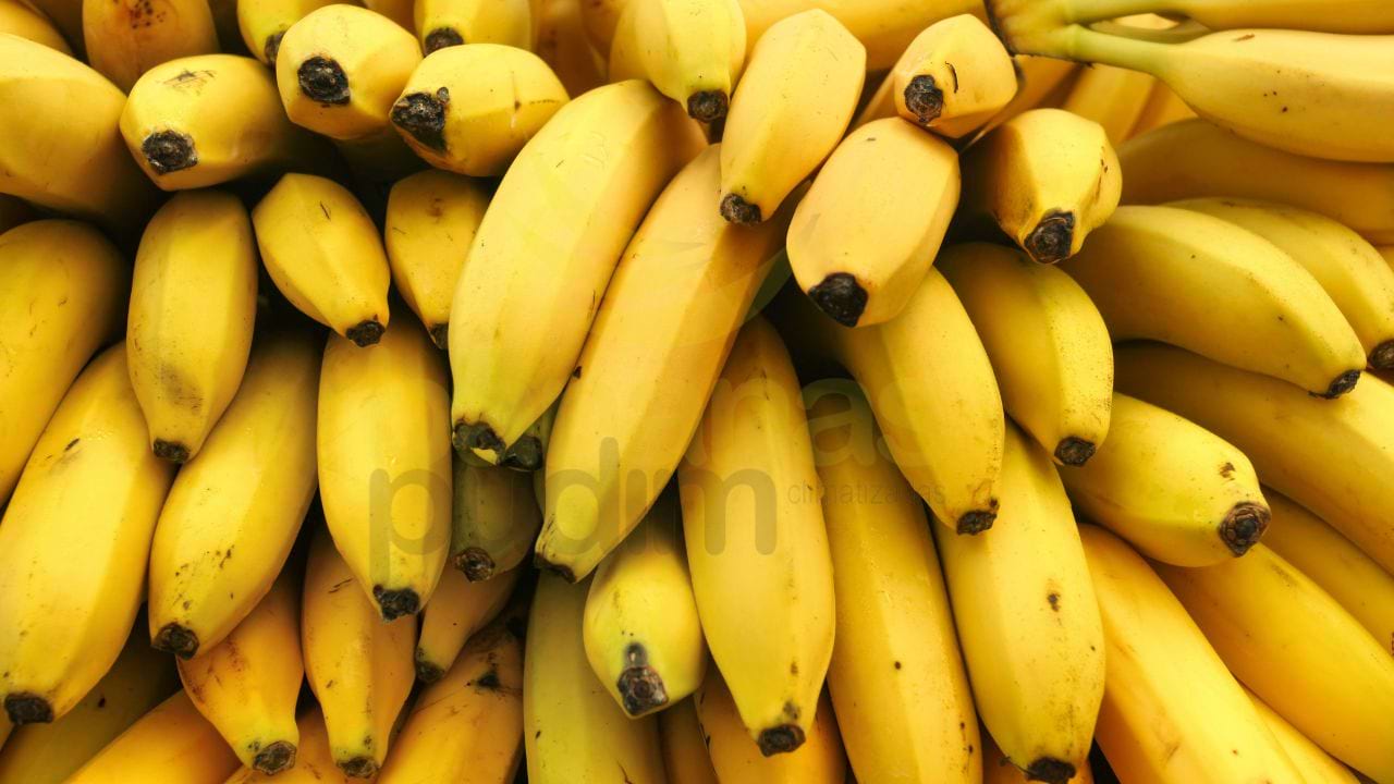 O Papel Das Distribuidoras De Bananas No Mercado Atual