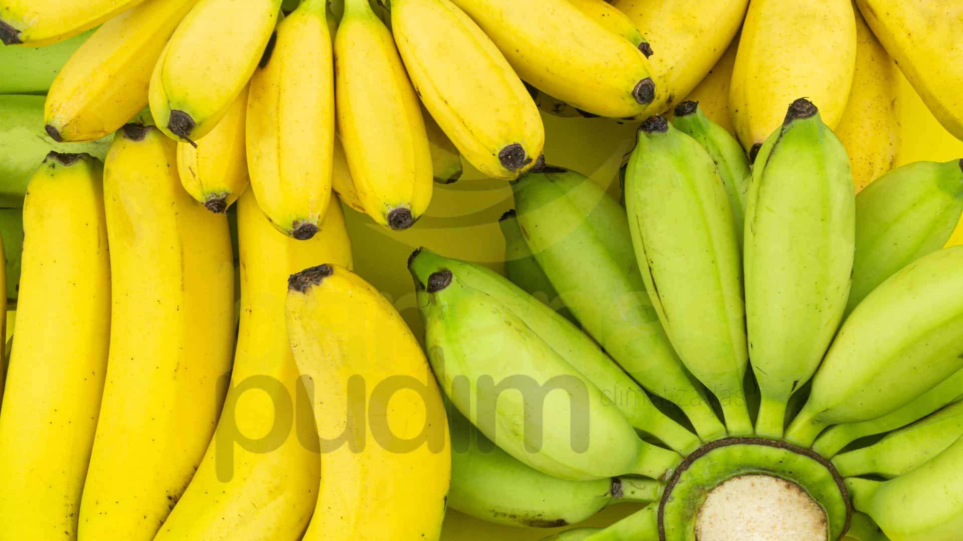 Diferença Entre As Bananas: 7 Fatos Curiosos Que Você Precisa Saber