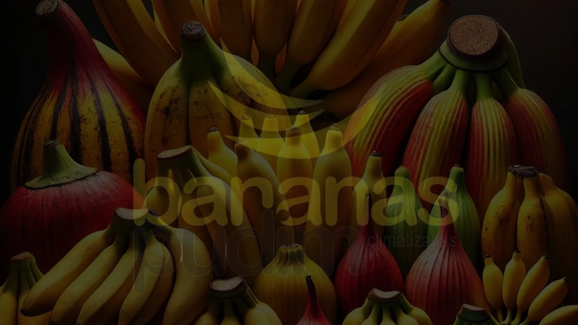 Diferença Entre as Bananas: 7 Fatos Curiosos Que Você...